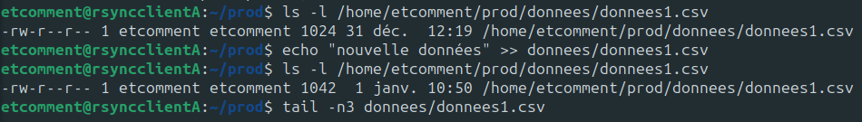 Sauvegardez vos environnements Unix/Linux avec Rsync - OpenClassrooms